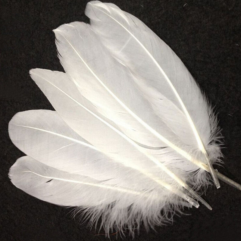 White Goose Feathers 6-8" 12 Pc Wedding Millinery Crafts Decoration | eBay