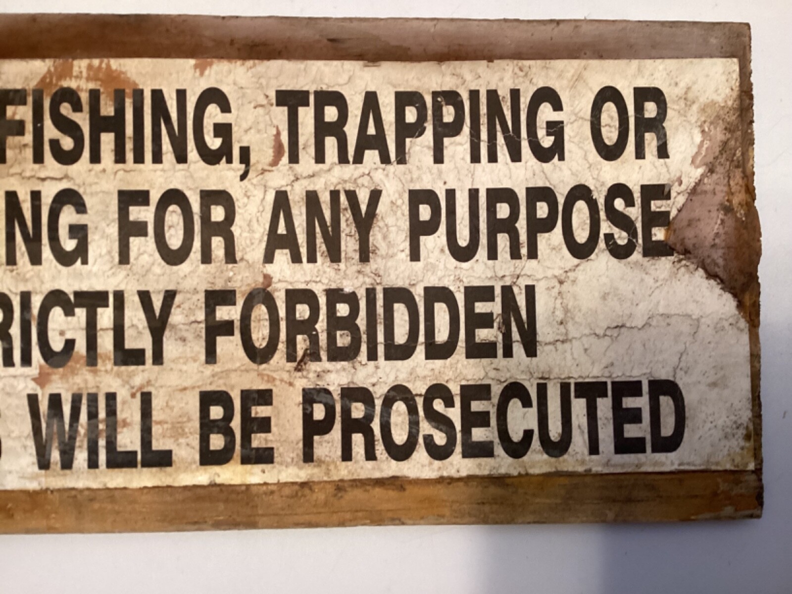 Vtg. HUNTING FISHING TRAPPING OR TREPASSING Wood Sign | eBay