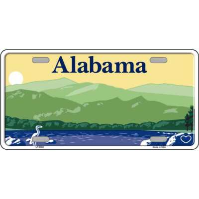 CUSTOMIZABLE, PERSONALIZED ALABAMA Novelty Metal License Plate, 6" x 12 ...