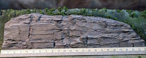 SHALE CUT 1 HO S O On30 F Model Railroad Diorama Scenery Latex Rubber ...
