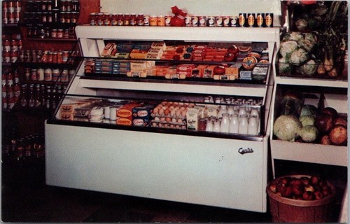 Vintage 1950s CURTIS FOOD EQUIPMENT Postcard Refrigerated Store Display ...