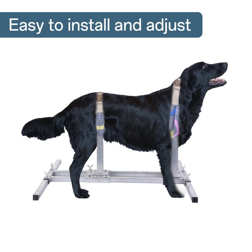 Dog Breeding Stand,Stainless Steel Dog Grooming Stand W/ Collar ...