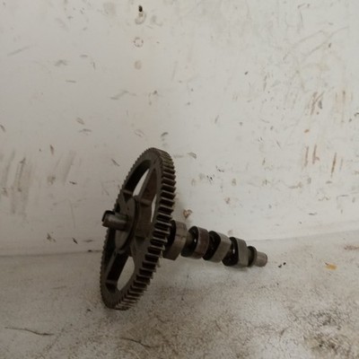 Briggs & Stratton Camshaft - 797242 | eBay