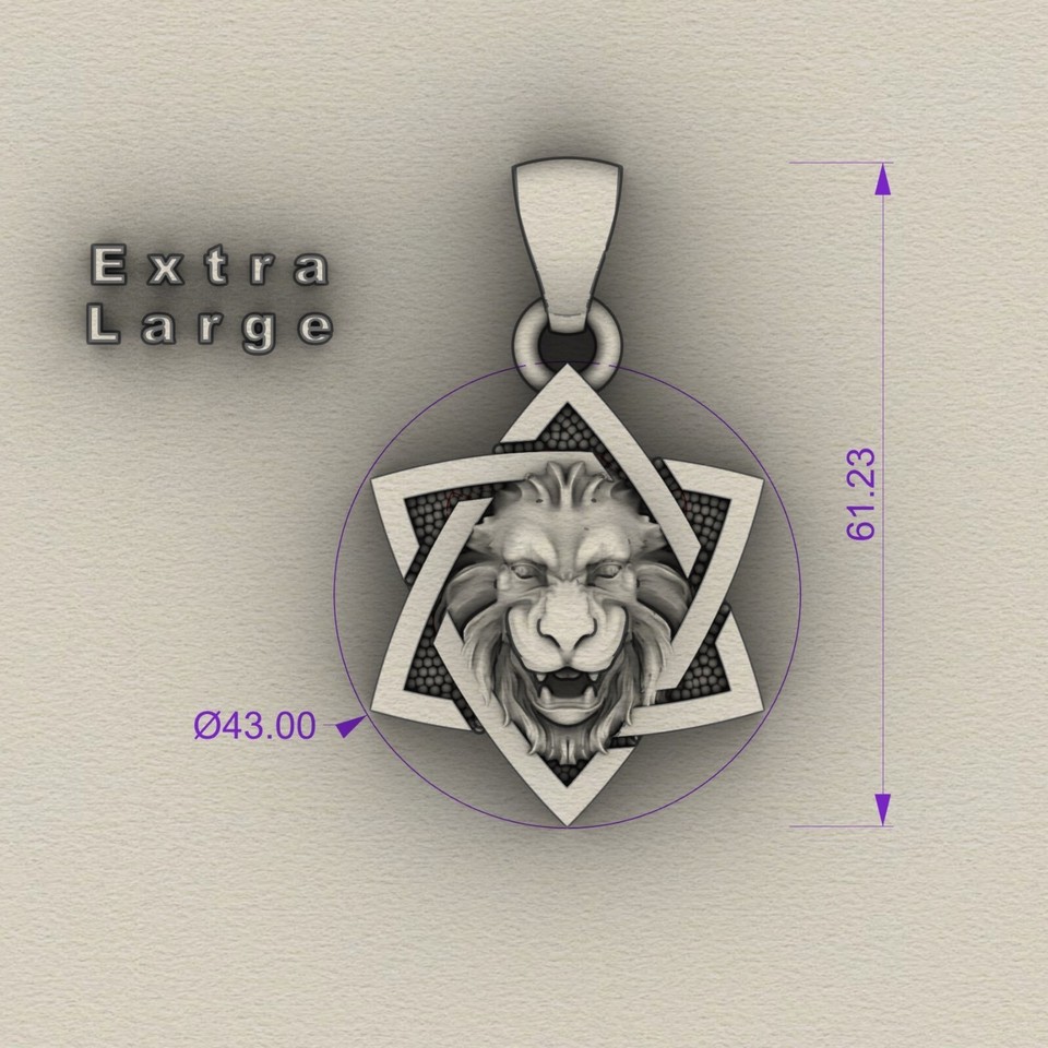 Star of David Lion of Judah Jerusalem Shema Israel Charm Pendant ...