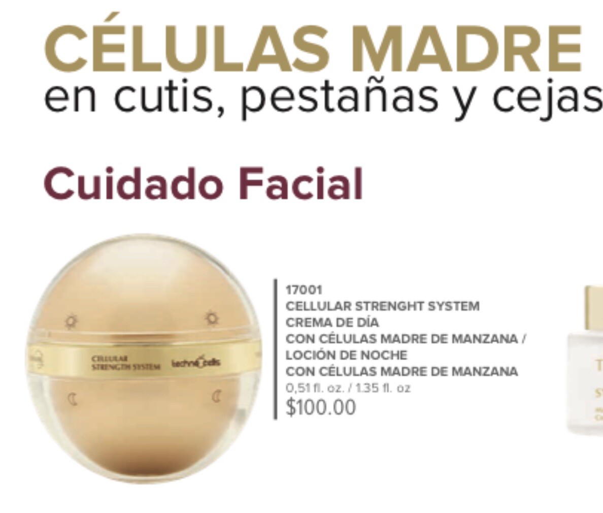 cellular strength system Cream For Day And Night. Célula Madre Terramar ...