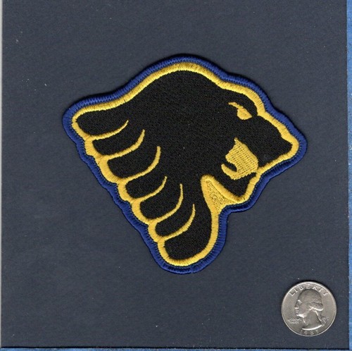 VFA-213 VF-213 BLACK LIONS US NAVY F-18 HORNET F-14 TOMCAT Squadron ...