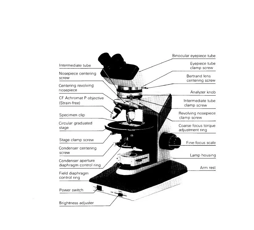 Microscope Parts Diagram