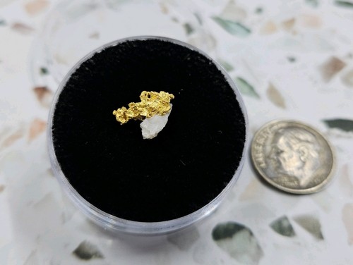 Natural Australian Gold & Quartz Specimen 0.72g High Purity Gold/Quartz ...