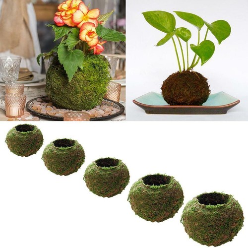Ball Shape Moss Planting Ball Flower Pot Window Box Indoor/Outdoor ...