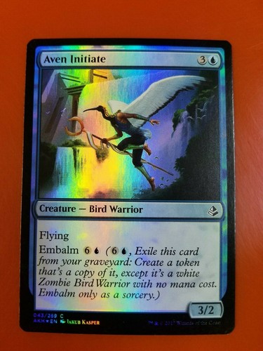 1x Aven Initiate | FOIL | Amonkhet | MTG Magic Cards | eBay