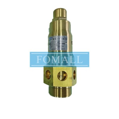 1Pcs New Fit For air compressor spring safety valve 1092161406 | eBay