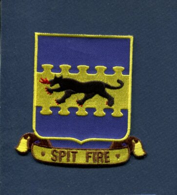 332nd FS Spitfire TUSKEGEE AIRMAN P-51 Mustang WW2 Army Air Corps Squadron Patch | eBay