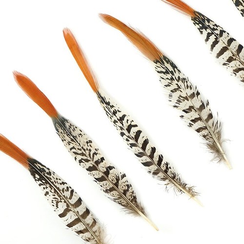 LADY AMHERST PHEASANT Feathers 4-40 Inches ALL TYPES Craft/Bridal ...