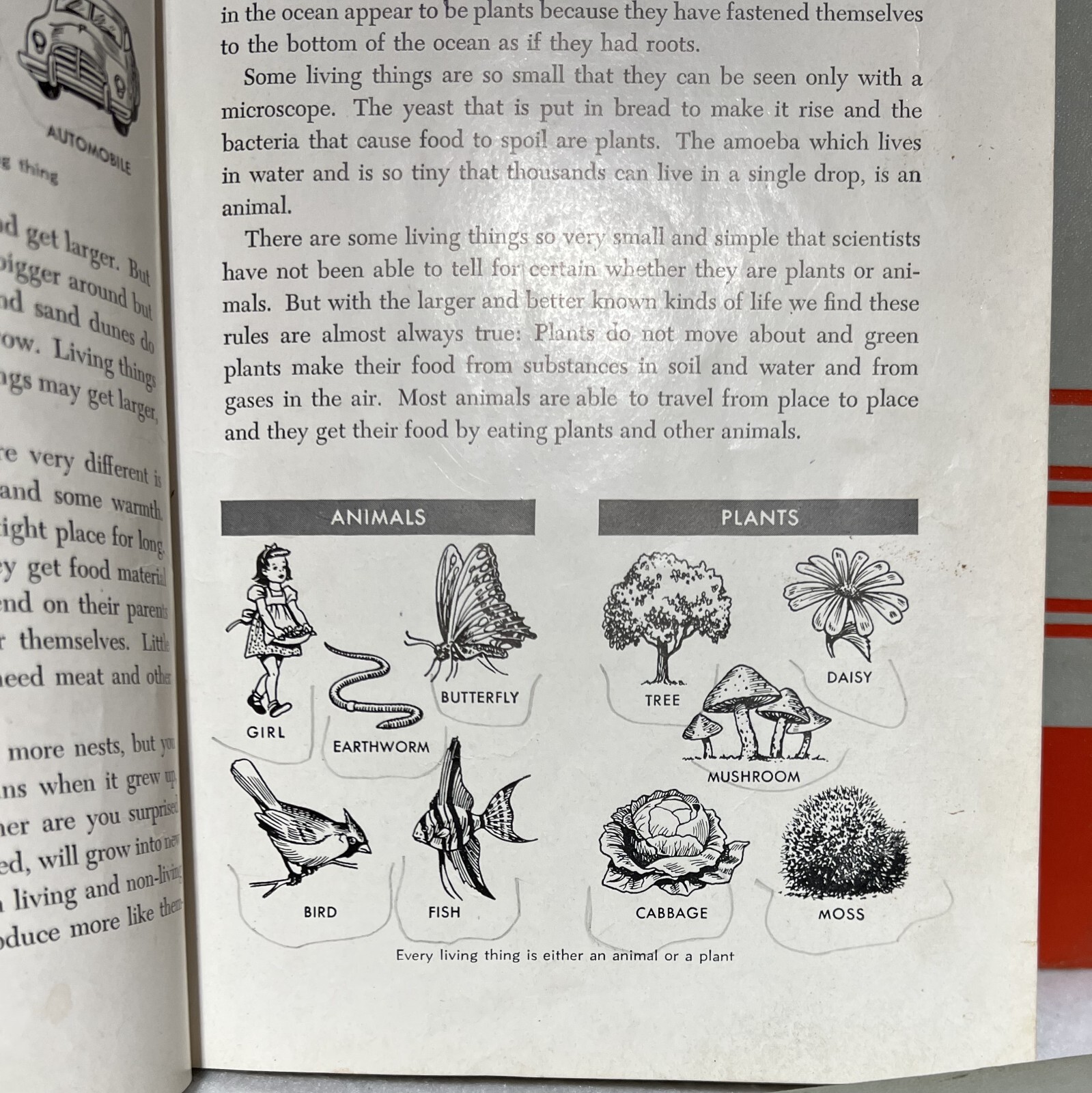 1951 59 The Childs World Full Set Volumes 1 thru 6 Illustrated Hardback ...
