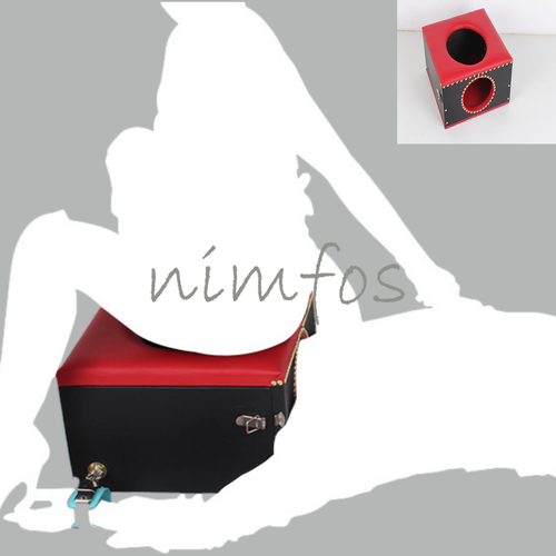 Sm Queen Sit Chair Face Sofa Guide Male Slave Constraint Water ...