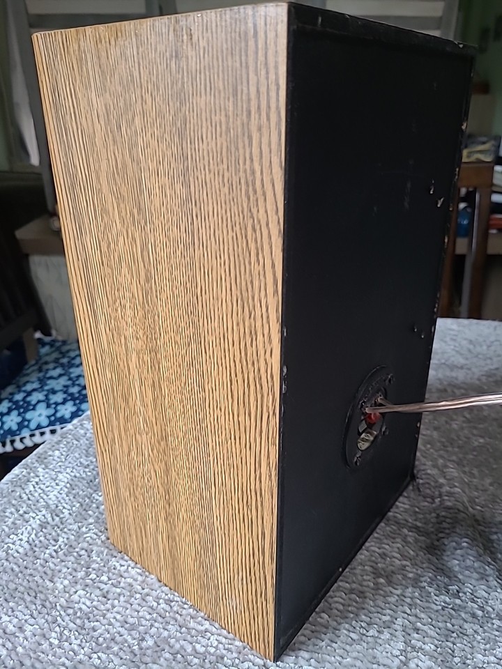 Infinity RS 2000 Vintage 2-Way Bookshelf Speakers, Oak Finish, 6.5 ...