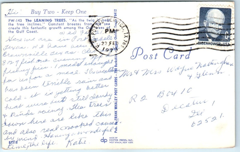 Postcard - The Leaning Trees - Oak Trees of the Gulf Coast | eBay