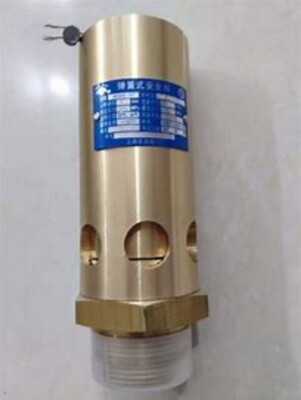 1PC NEW FIT FOR Air compressor spring type safety valve AK28X-16T DN10 ...