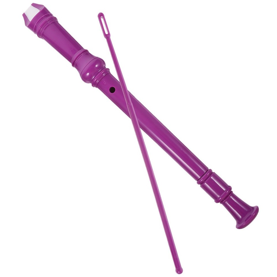 Soprano Recorders Flute Instrument for Teens Musical Kid | eBay Australia