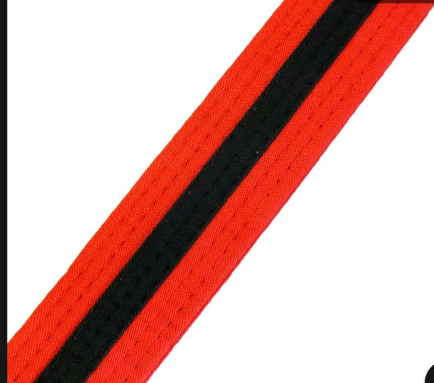 Taekwondo Red Belt Martial Arts Belt Red/Black | Phoenix Fight Gear