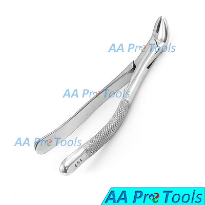 Dental Tooth Extracting Forceps #151 With Serrated Jaw (Stainless Steel ...