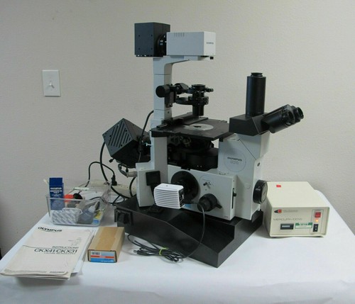 Olympus IX70-S8F Inverted Fluorescence Microscope Infinity 2 Camera ...