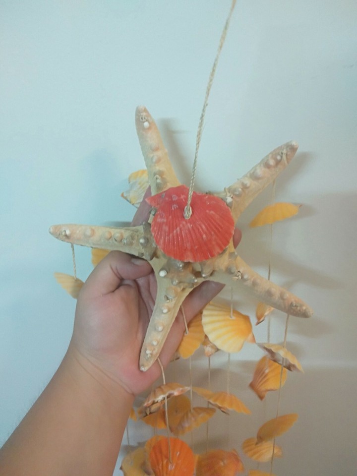 Starfish and orange pectin Sea shell chime. 50cm Chandelier. Mobile ...