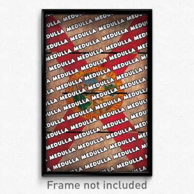 Medulla Florida Poster (FL City Souvenir 11x17 Town Print) | eBay