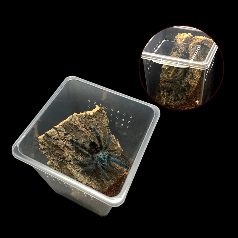 3 Pcs Insect Spider Terrariums Breeding Box, Small Reptile Hatching ...