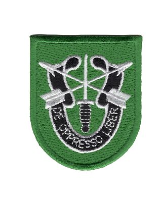 10th Special Forces Group Flash Patch With Crest | eBay