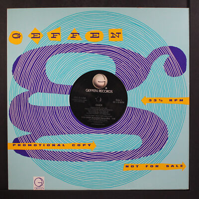 CHER: skin deep GEFFEN 12" Single 33 RPM | eBay