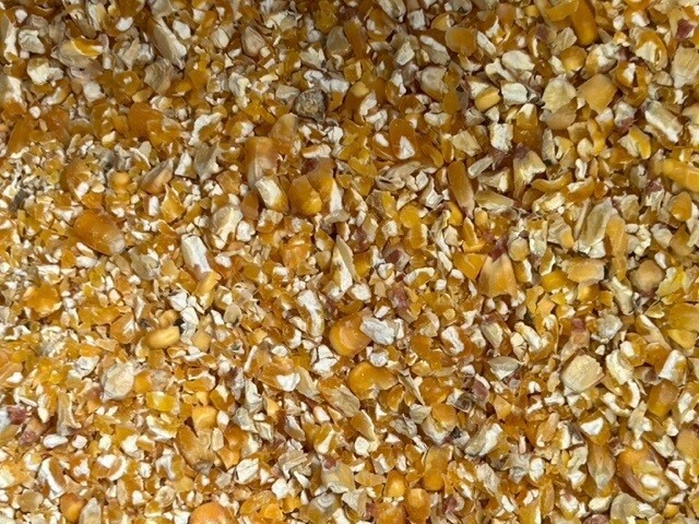 1kg Cracked Corn Bird Seed Grain Mix for Chickens | eBay Australia