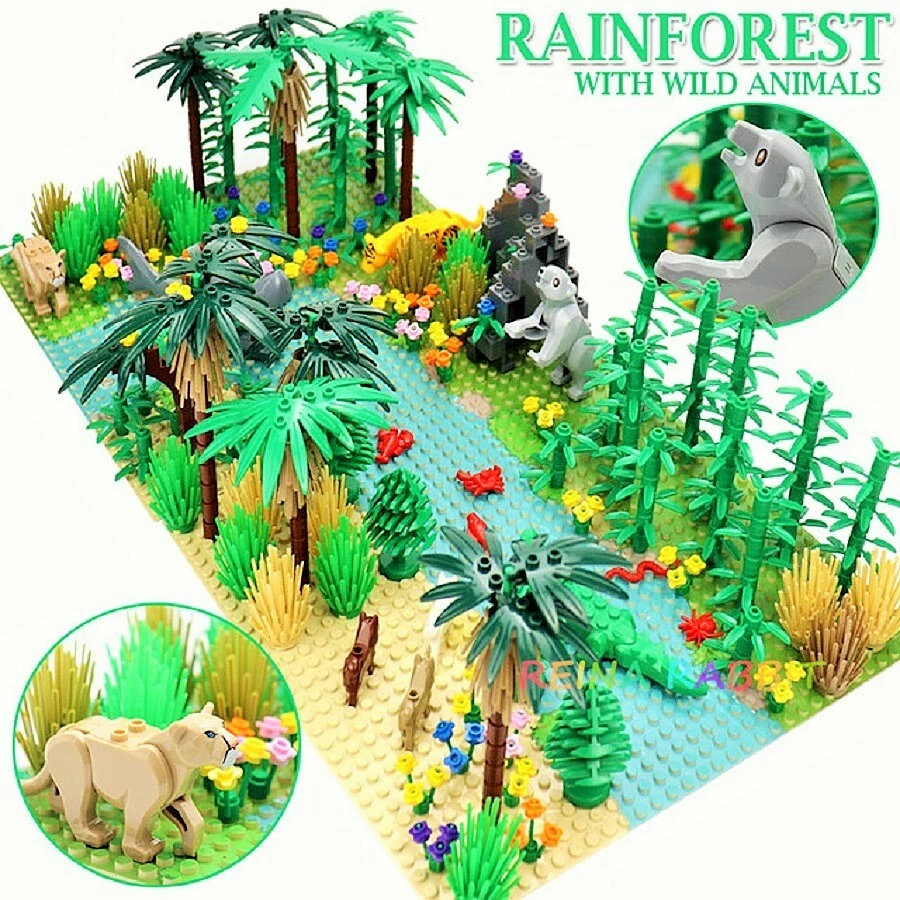 Rainforest Animals And Plants For Kids