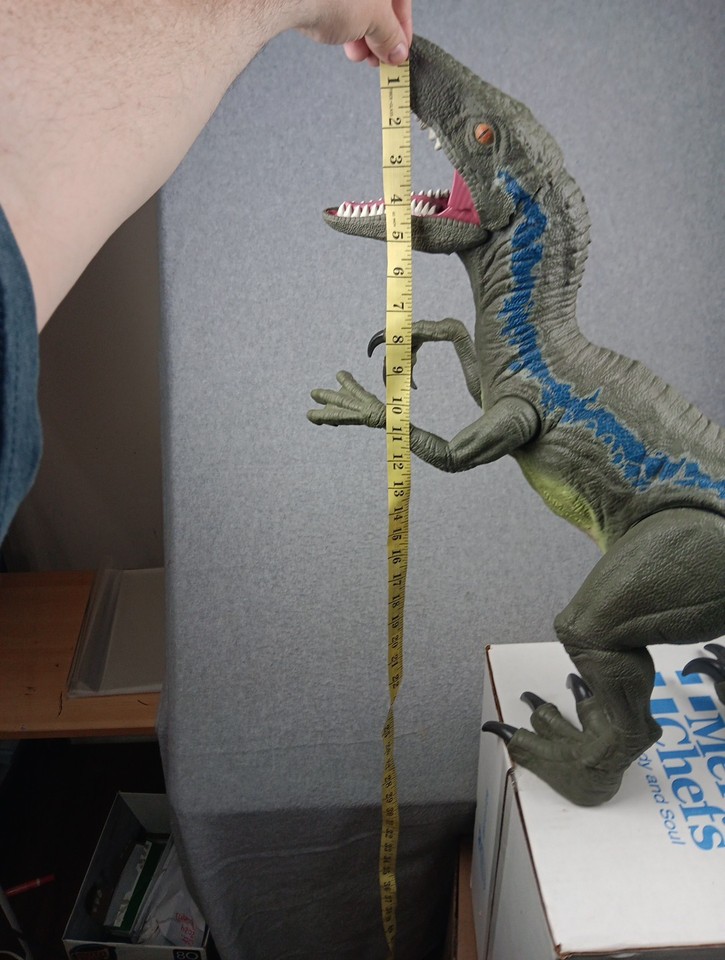 Jurassic World Super Colossal Velociraptor Raptor Blue Action Figure ...