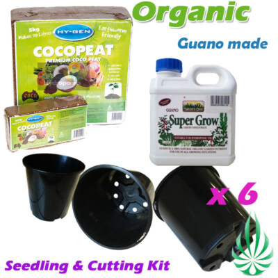 Hydroponics Seedling Cloning Organic Nutrient Hygen COCO Peat 6x 150mm ...