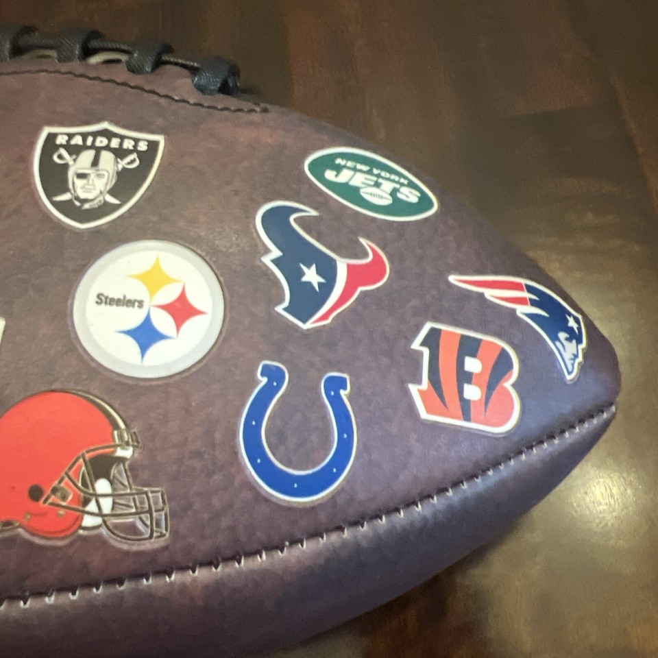 2019 NFL 100th Anniversary Football Ball | eBay