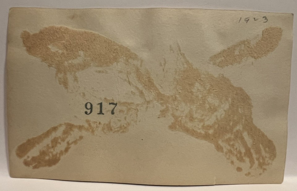 Vtg Snapshot Flapper Girls In Love Saphoric Lesbian interest 1923 ...