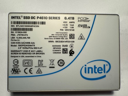 Intel DC P4600 Series SSDPE2KE064T7S 6.4TB NVMe U.2 SSD | eBay