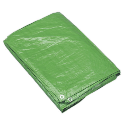 Bâche 2,44 X 3,05M Verte - Sealey TARP810G Neuf | eBay