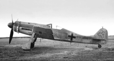 WW2 WWII Photo World War Two / German Luftwaffe Fw190D Butcher Bird Fw ...