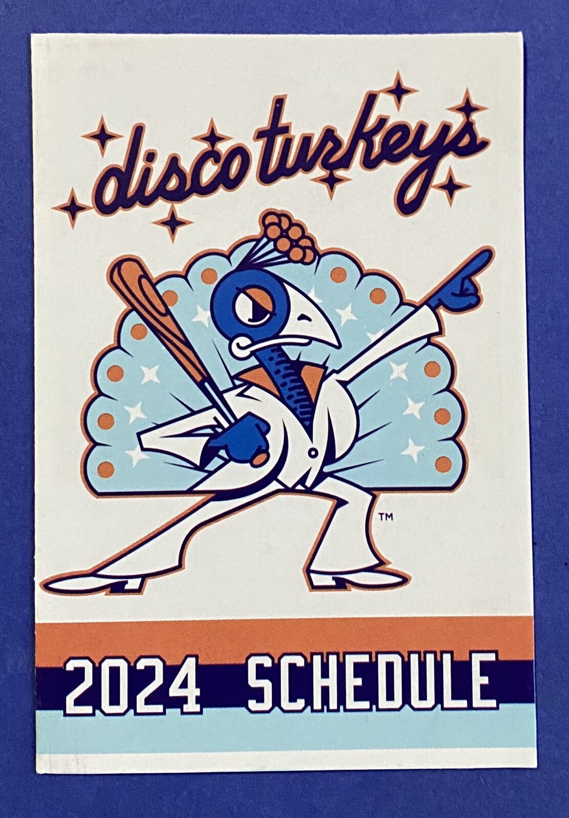2024 CAROLINA DISCO TURKEYS Schedule ⚾️ Minor Baseball Sked COOL‼️ NEW‼ ...