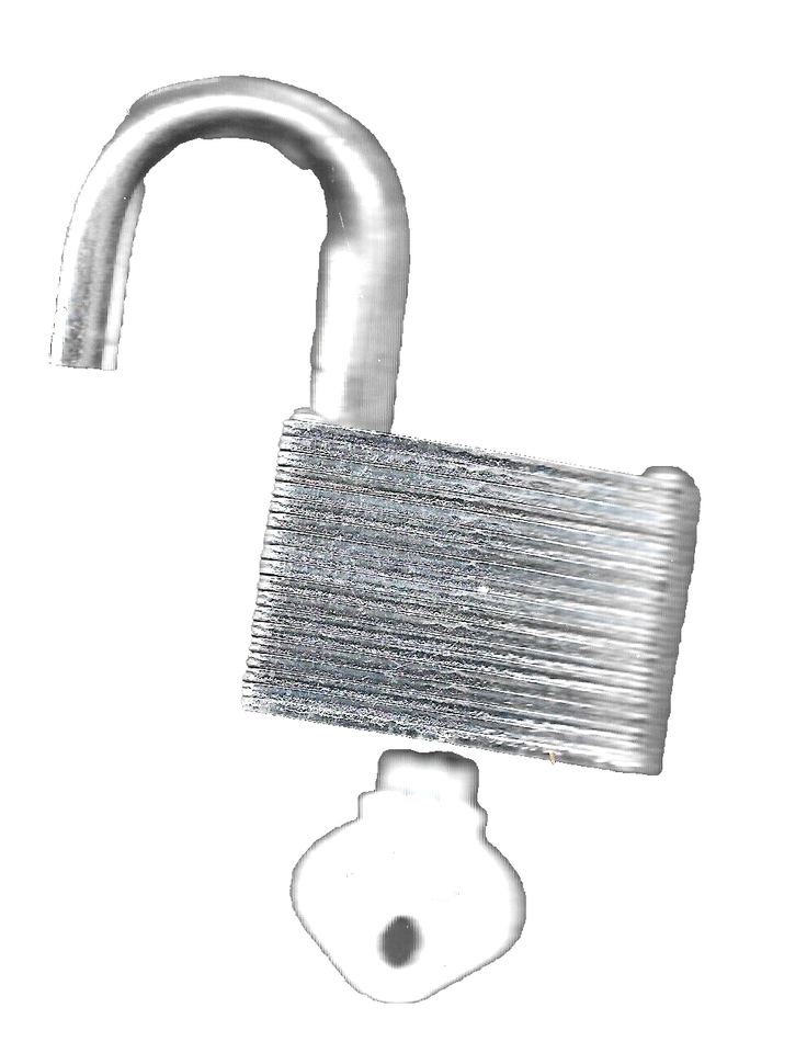 Fortress Padlock With Key Vintage | eBay