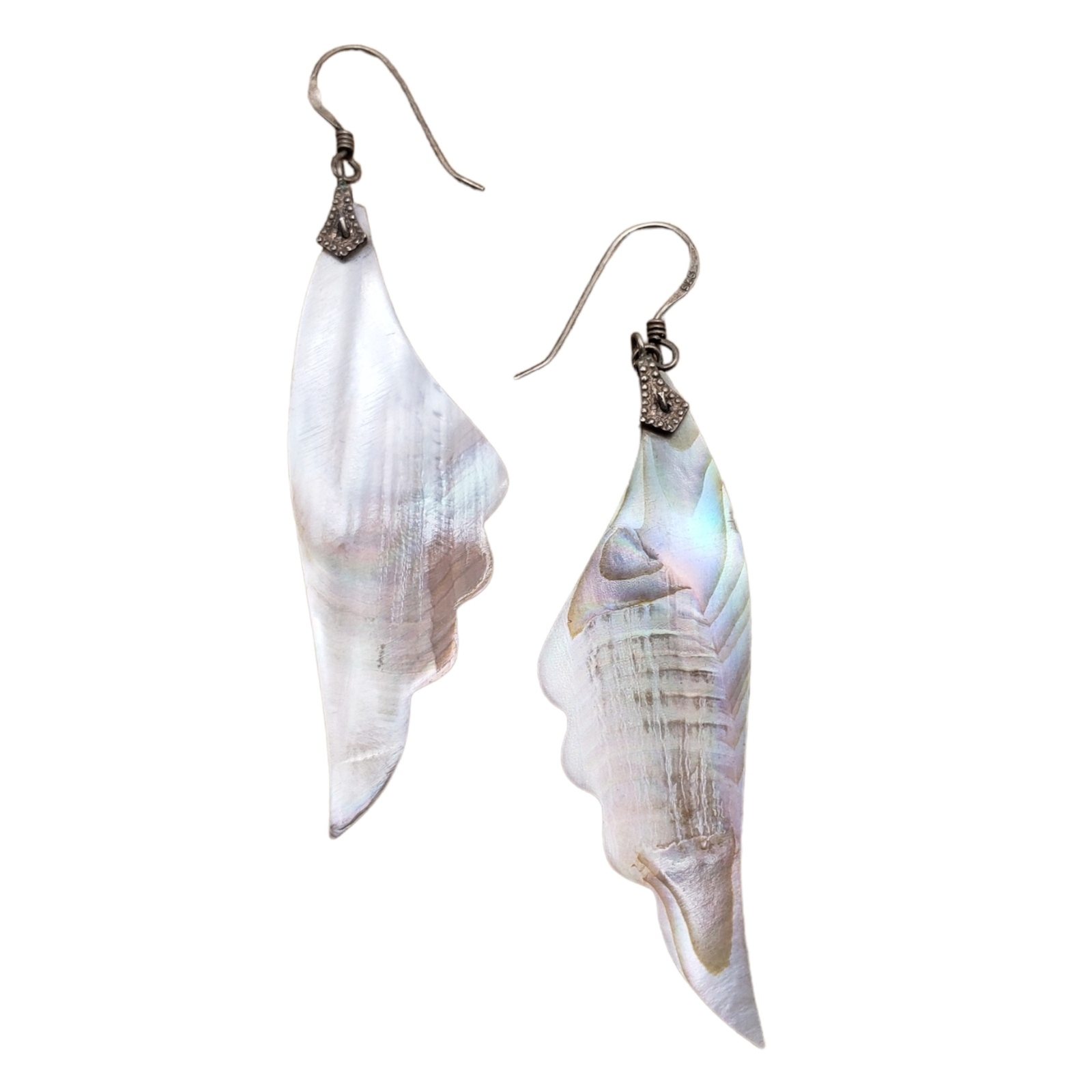 Vintage Long Wing Shaped MOP Mother of Pearl Sea Shel… - Gem