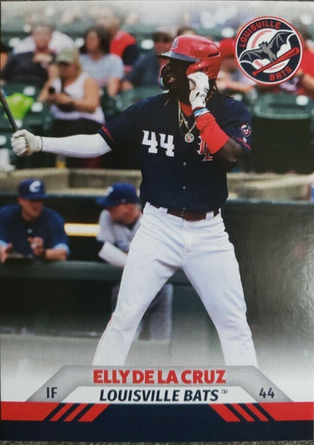 2023 CINCINNATI REDS AAA Bats Team Set ELLY DE LA CRUZ Matt McLain ...