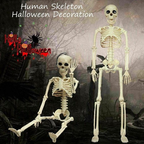 40cm Poseable Full Human Skeleton Prop Party Decoration Haunted House ...