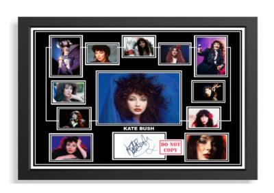 240 kate bush signed a4 photograph framed unframed (reprint) great gift ...