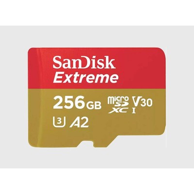 SanDisk Extreme Carte microSDXC 256 GB Class 10, UHS-I, v30 Video Speed ...