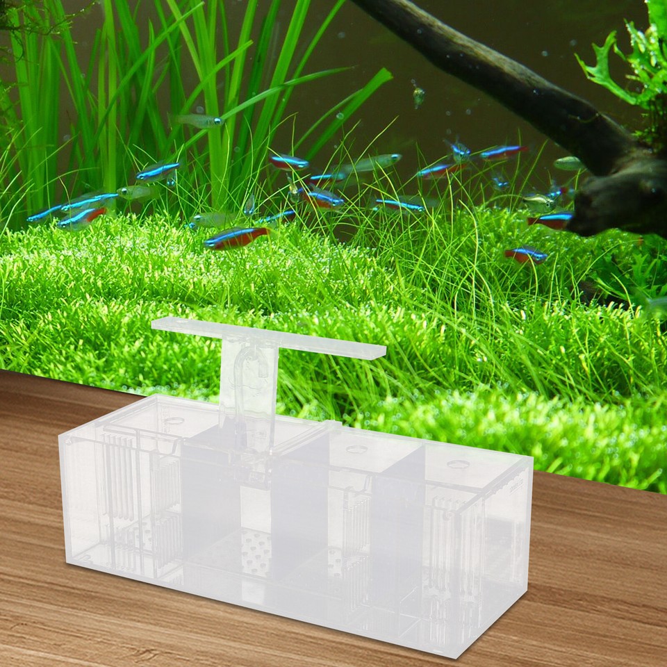 Aquaponic Fish Tank 4 Grids Desktop Fish Tank Rectangle Acrylic Betta ...