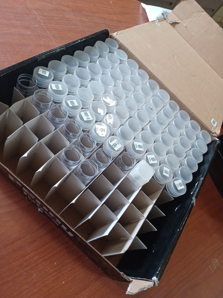 (65+) BCW Penny, 1 Cent - Round Plastic Coin Tubes - Holds 50 Coins ...