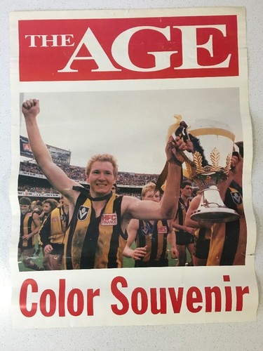 1988 1989 ' THE AGE' GRAND FINAL HAWTHORN FOOTBALL CLUB PREMIERS BANNER ...